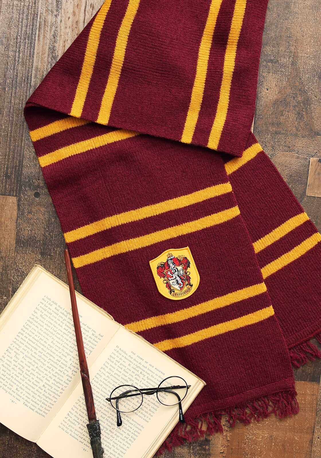 Gryffindor Wallpapers (17 images) - WallpaperCat