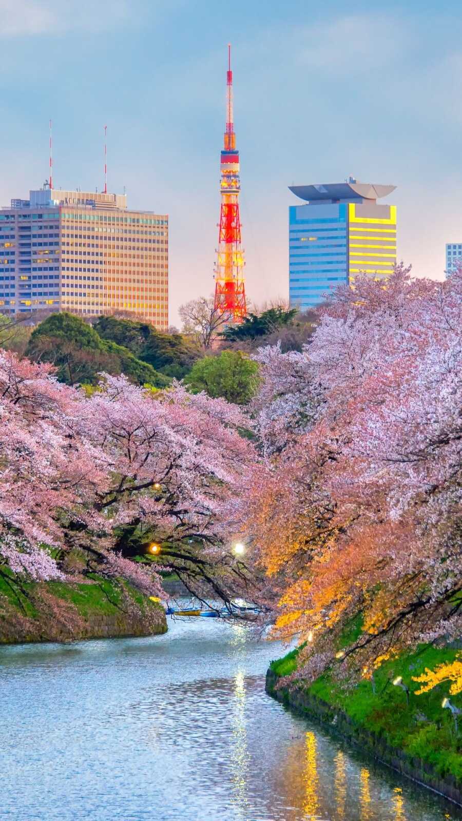 Japan Skyline Wallpapers (42 images) - WallpaperCat