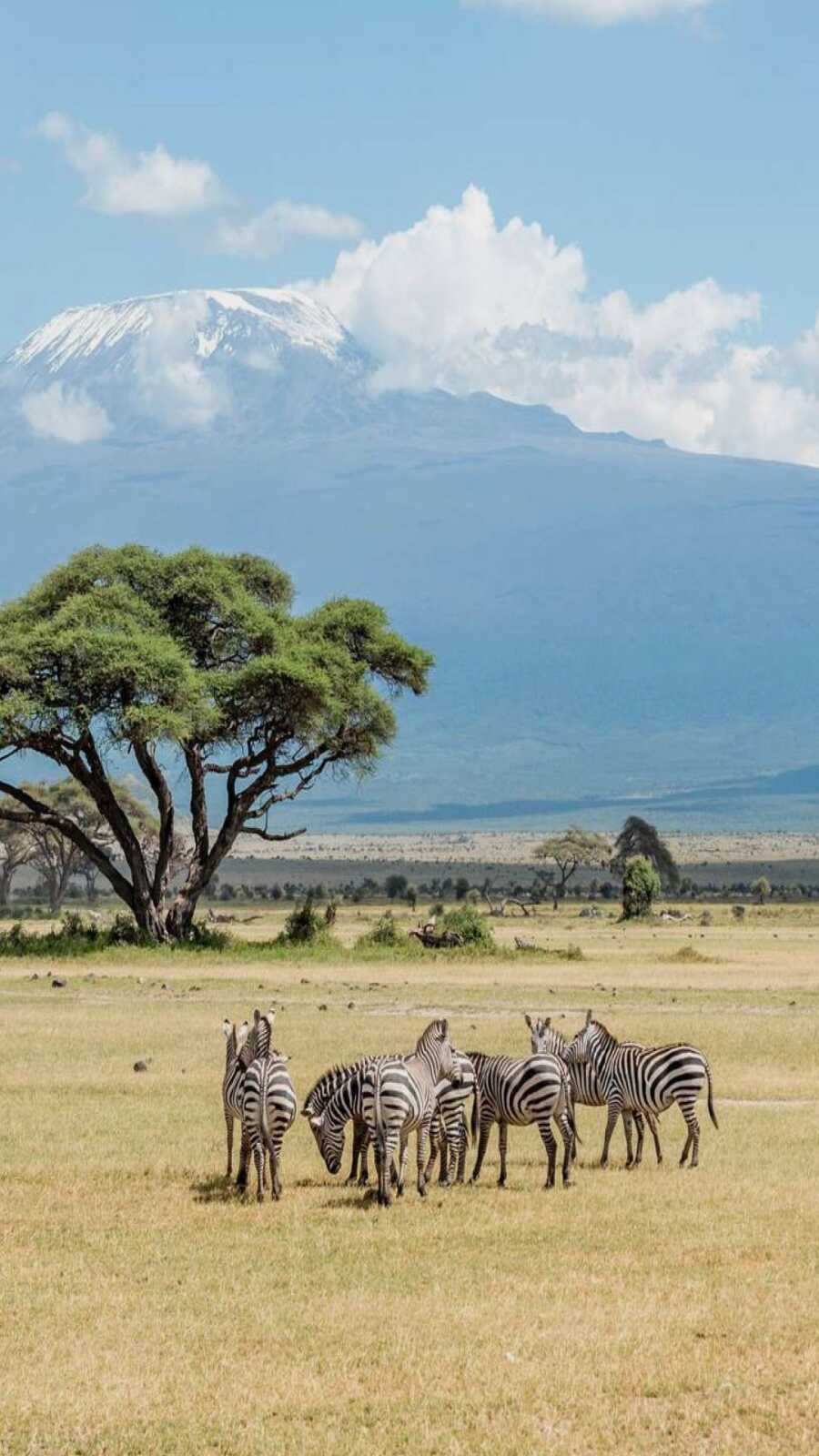 Kenya Wallpapers (40 images) - WallpaperCat