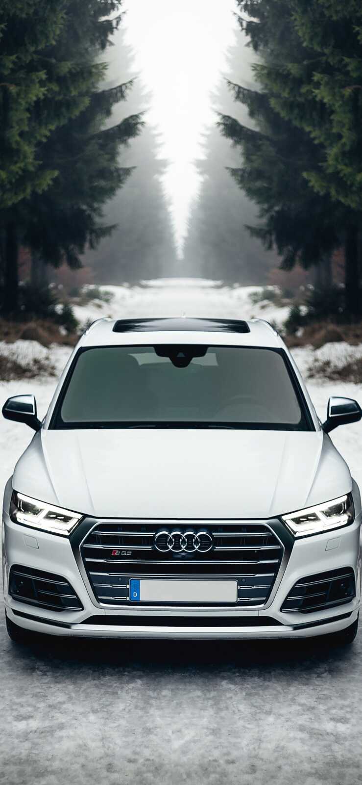 Audi Wallpapers (93 images) - WallpaperCat