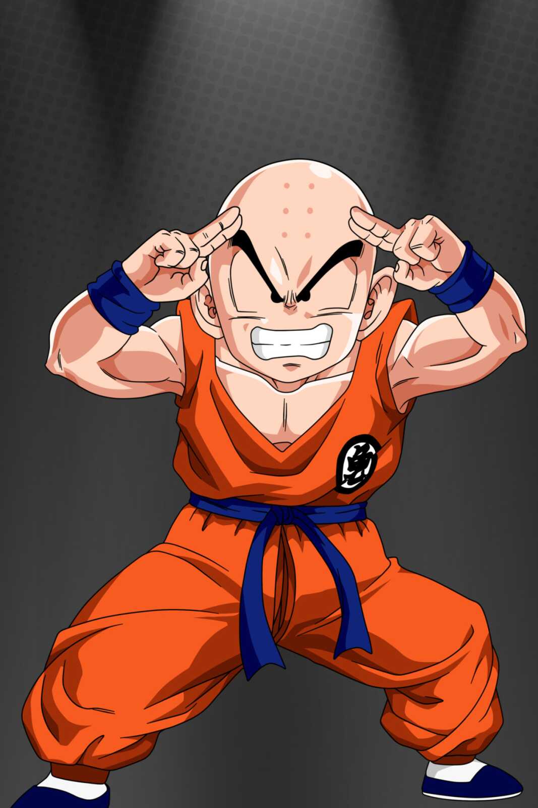 Krillin Wallpapers (26 images) - WallpaperCat