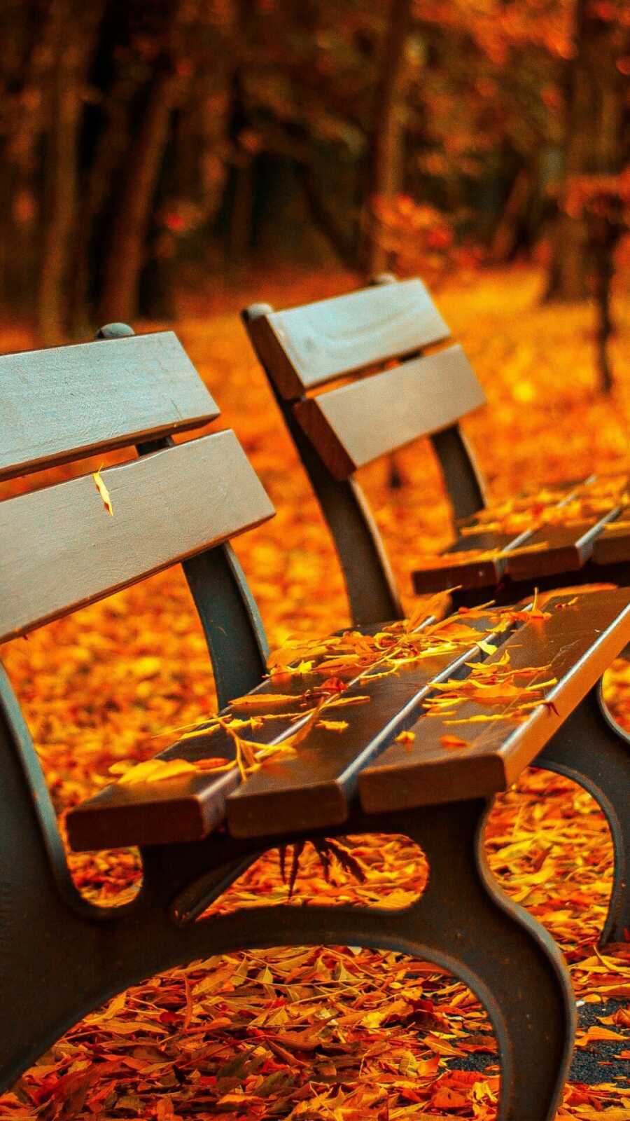 Park Wallpapers (32 images) - WallpaperCat