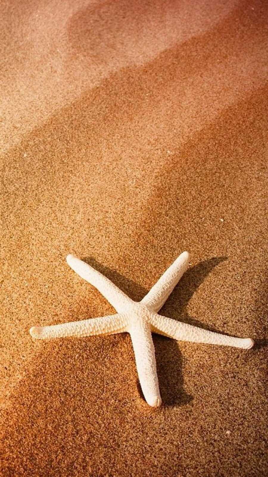 Starfish Wallpapers (62 images) - WallpaperCat