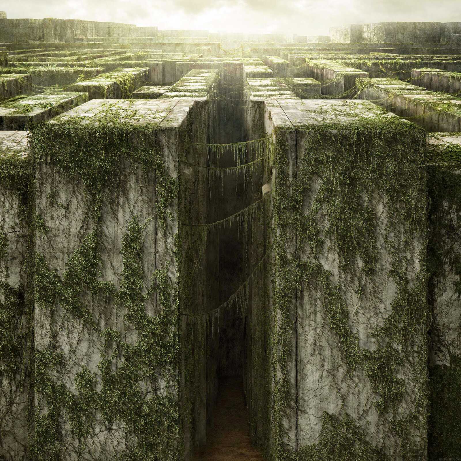 The Maze Runner Wallpapers (57 images) - WallpaperCat
