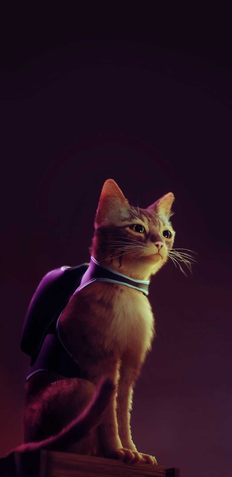 Stray (Game) Wallpapers (29 images) - WallpaperCat