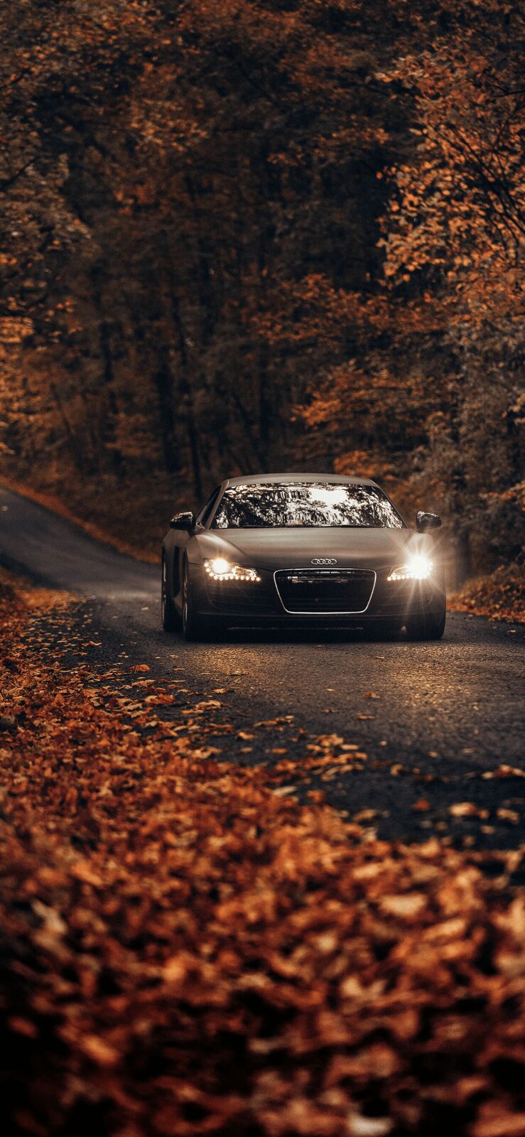 Audi Wallpapers (93 images) - WallpaperCat
