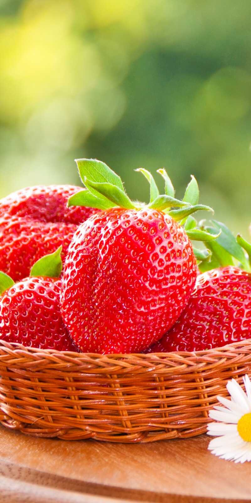Strawberry Wallpapers (49 images) - WallpaperCat