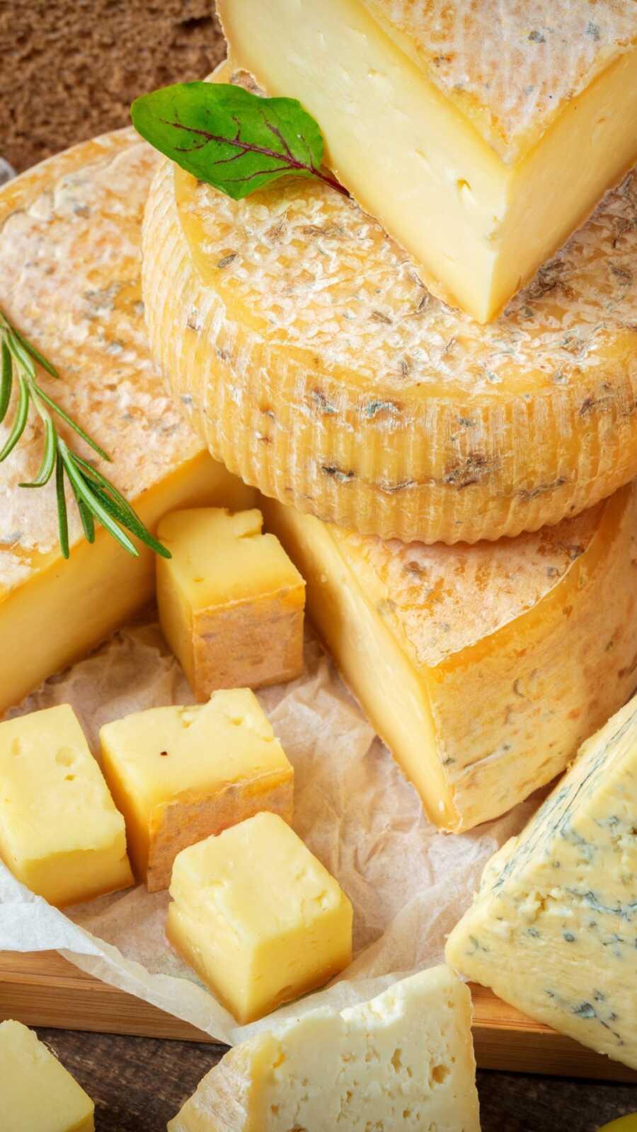 Cheese Wallpapers (48 images) - WallpaperCat