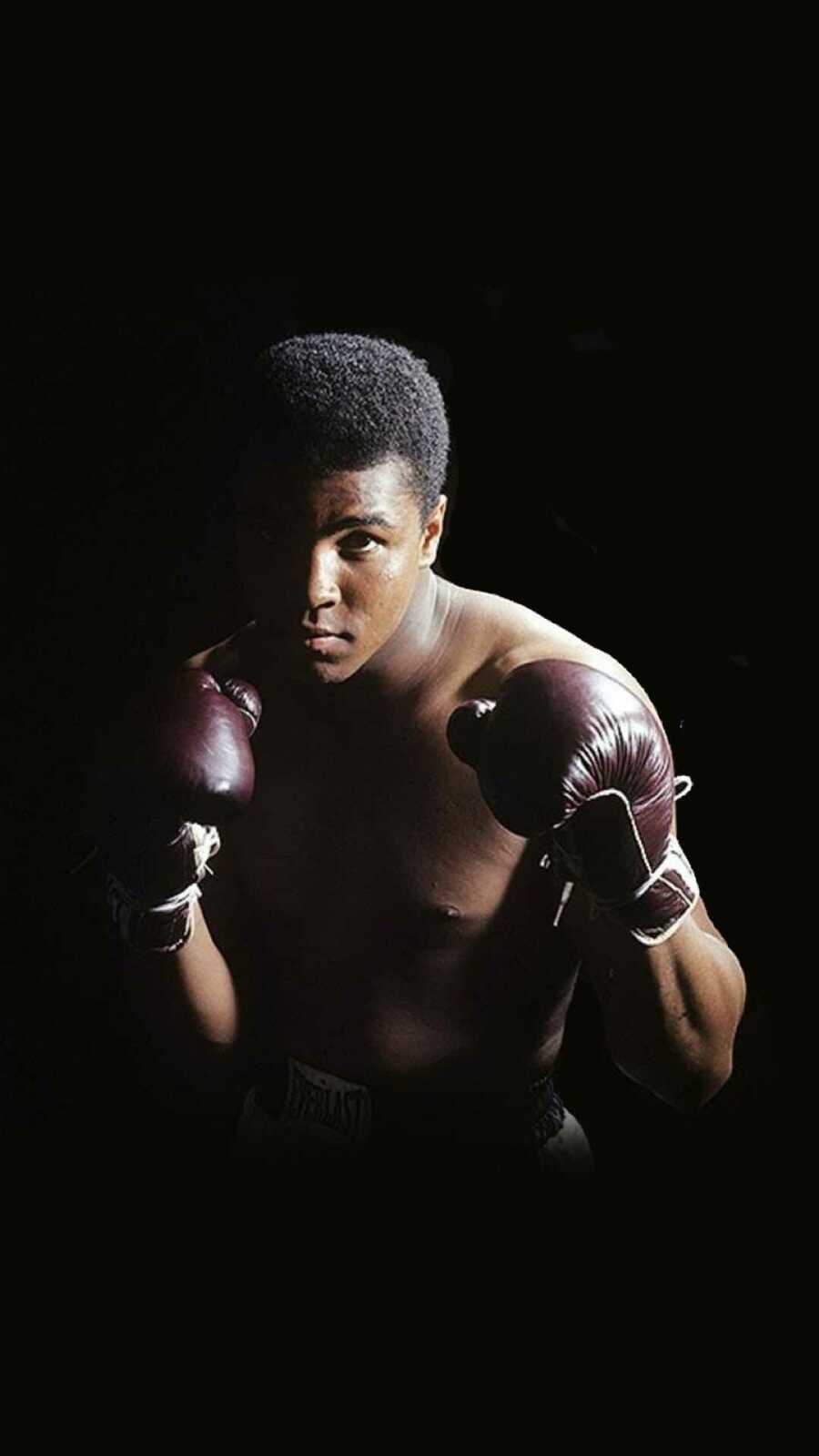 Boxing Wallpapers (28 images) - WallpaperCat