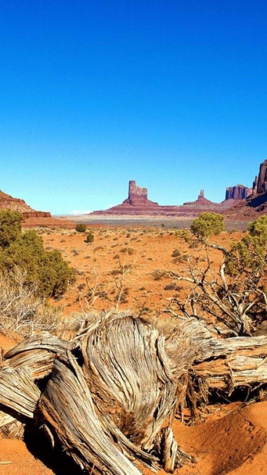 Arizona Wallpapers (48 images) - WallpaperCat