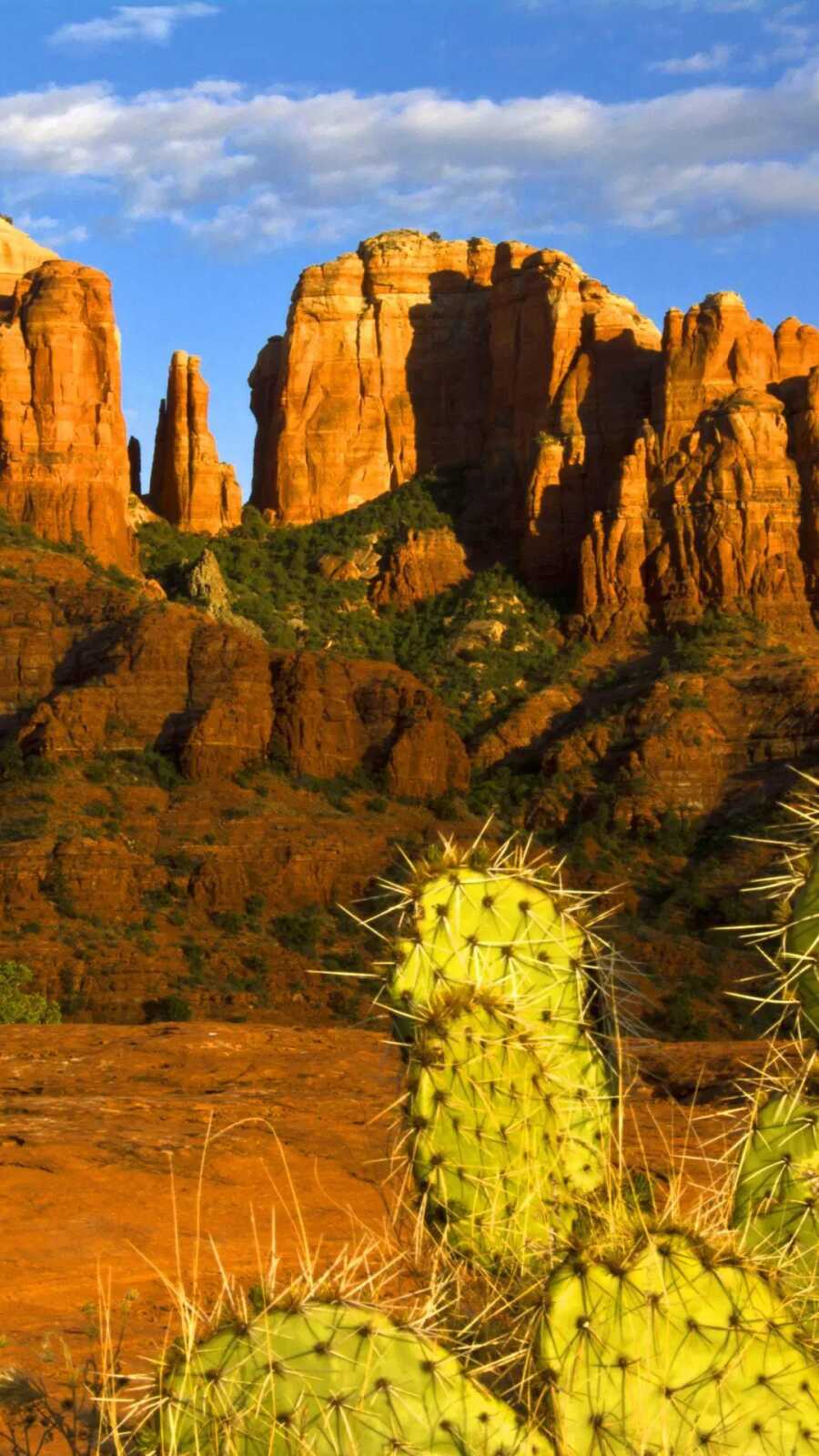 Arizona Wallpapers (48 images) - WallpaperCat
