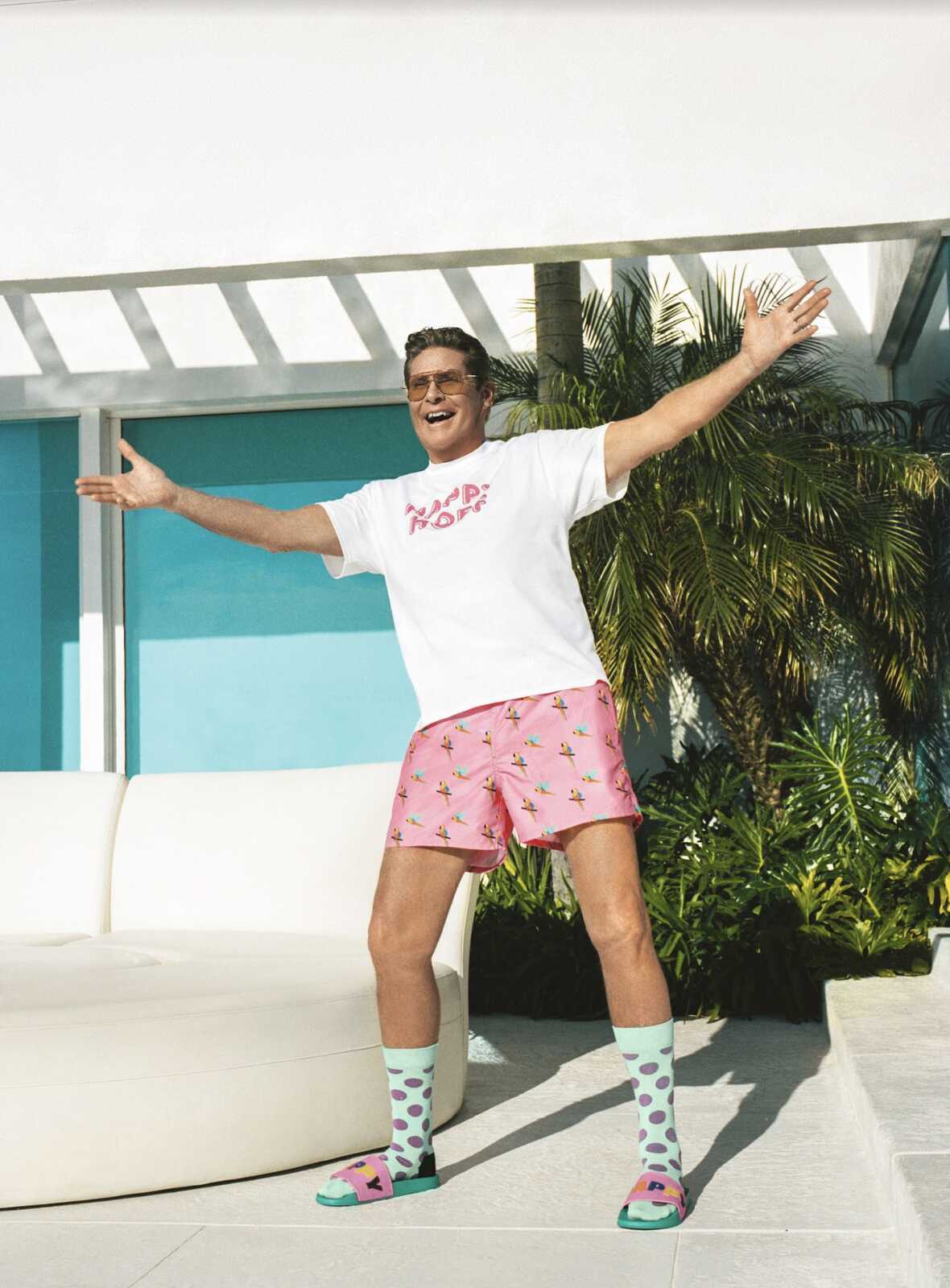 David Hasselhoff Wallpapers (37 images) - WallpaperCat