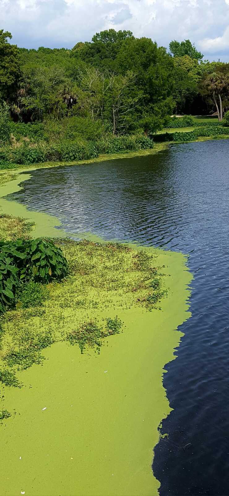 Everglades National Park Wallpapers (51 images) - WallpaperCat