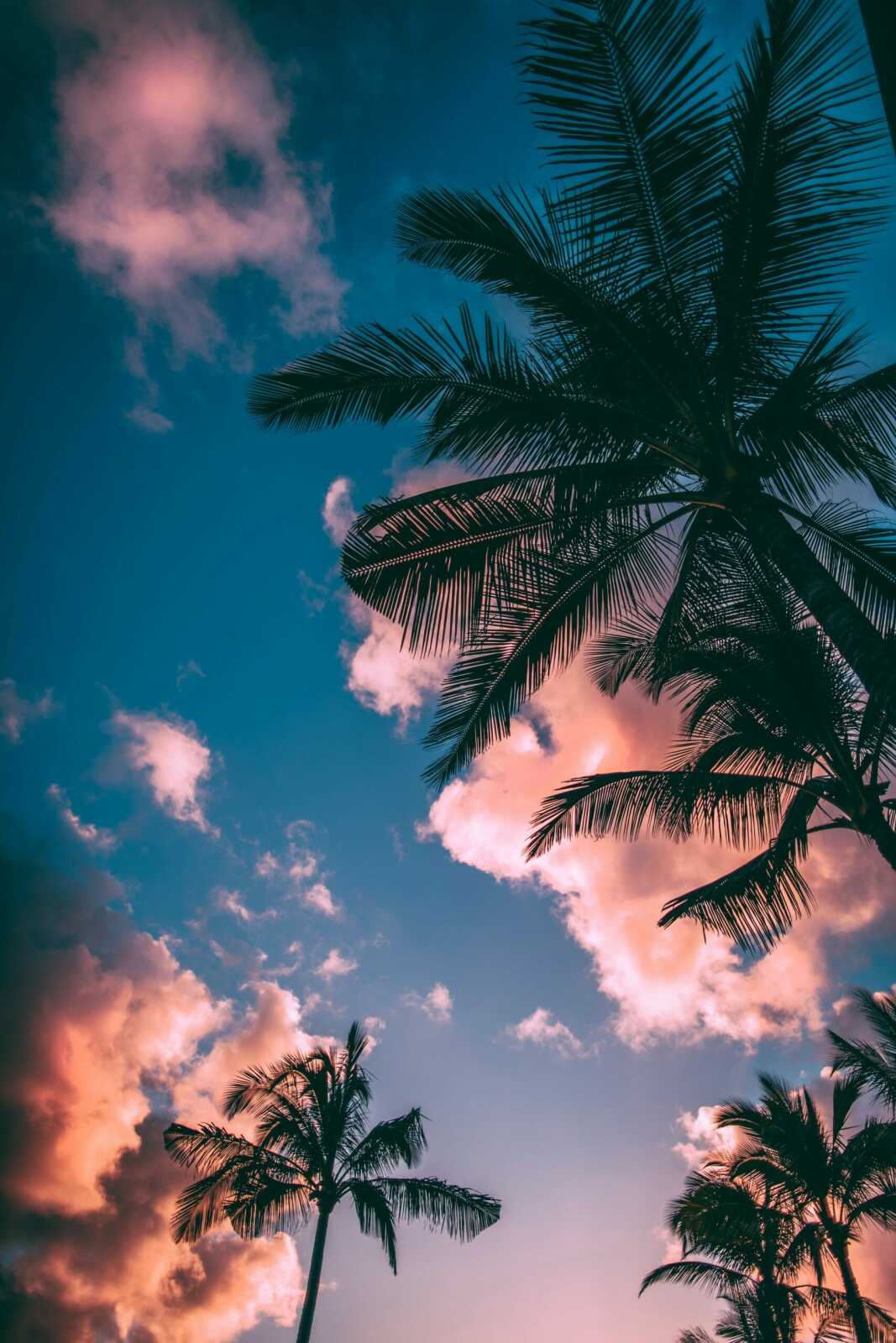Summer Wallpapers (99 images) - WallpaperCat