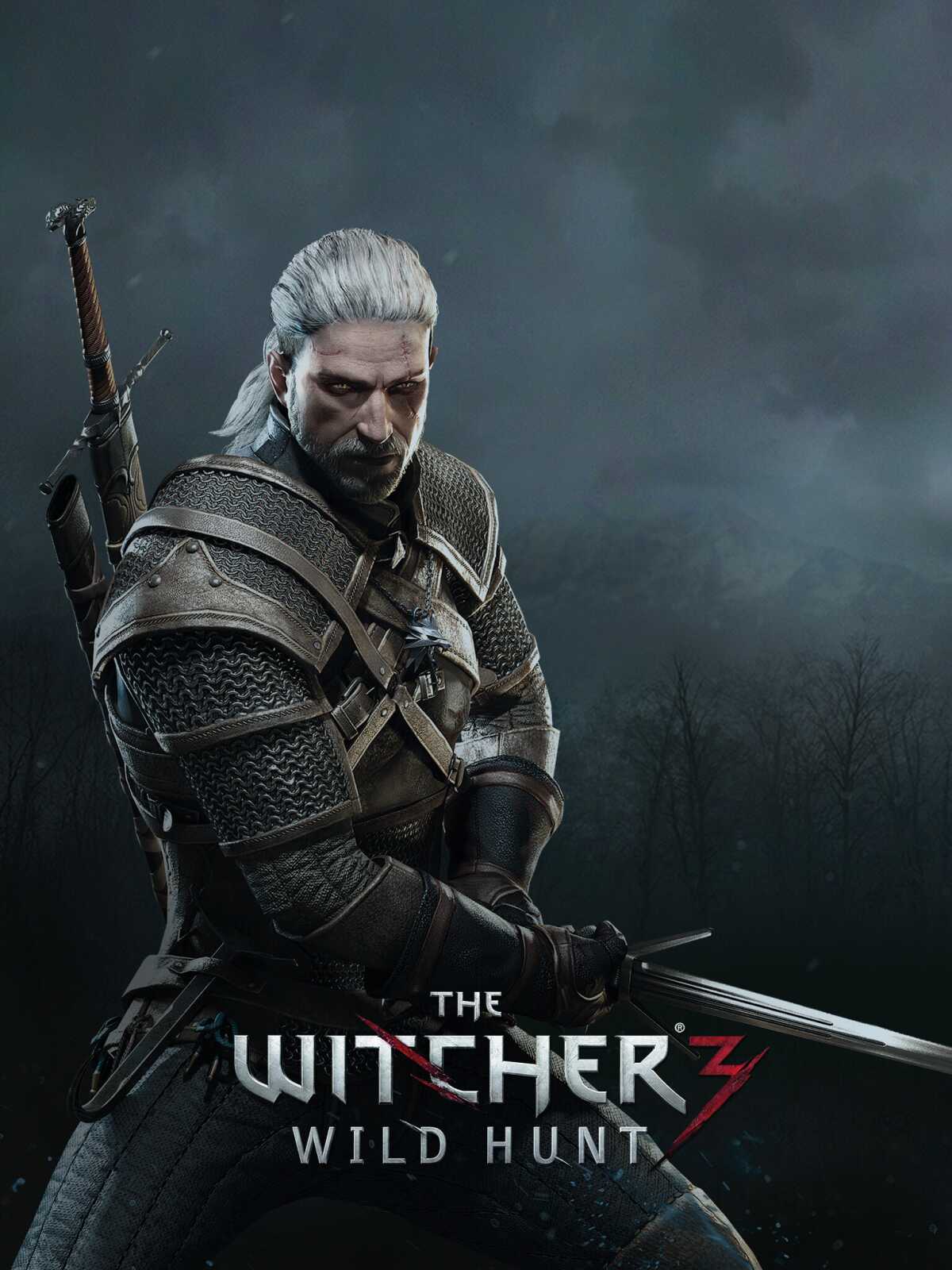 The Witcher (Game) Wallpapers (68 images) - WallpaperCat