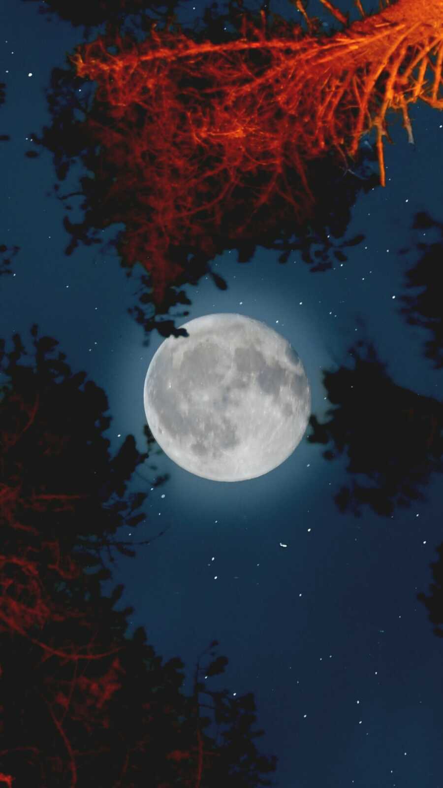 Moonlight Wallpapers (80 images) - WallpaperCat
