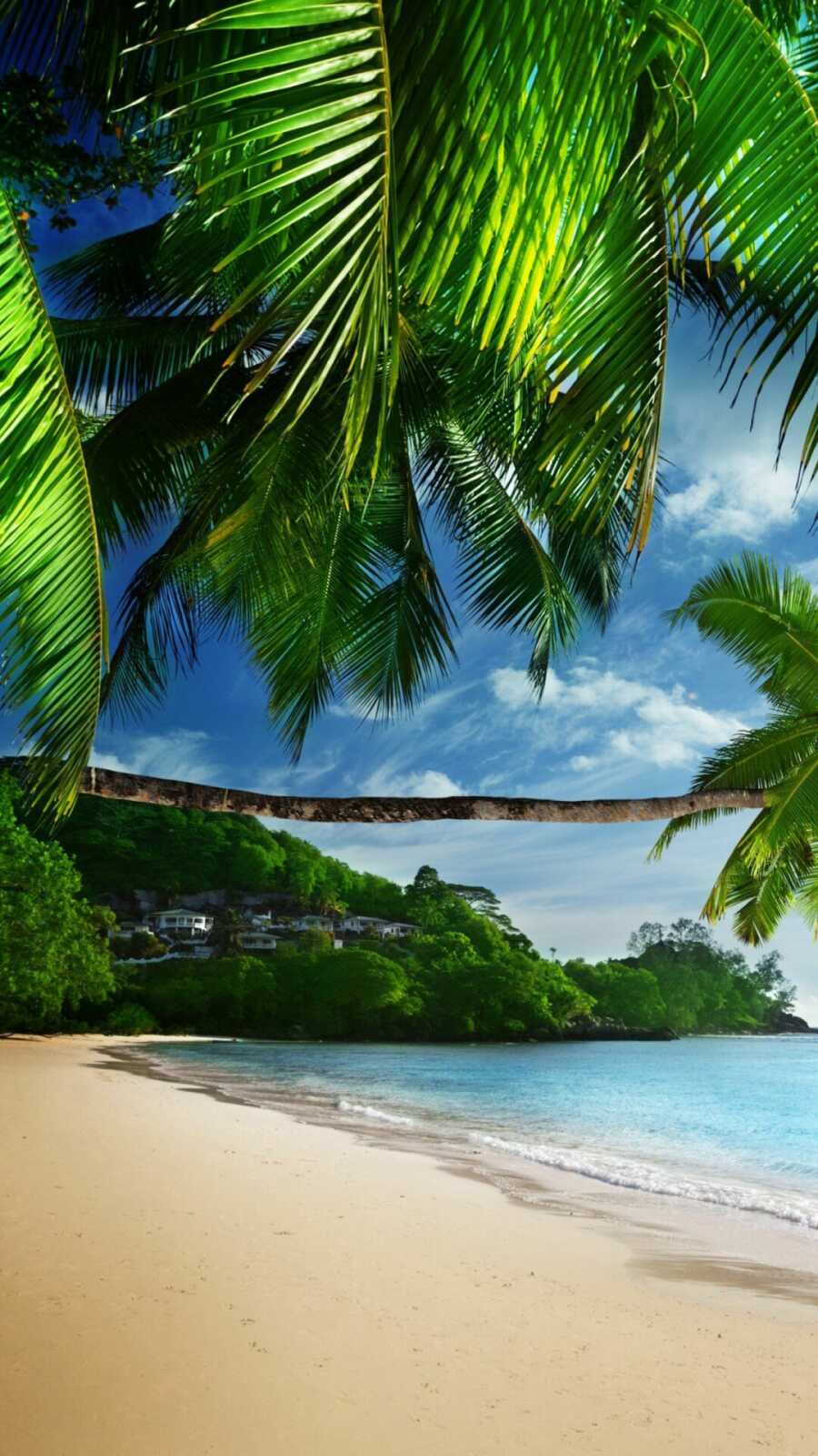 Beach Wallpapers (35 images) - WallpaperCat