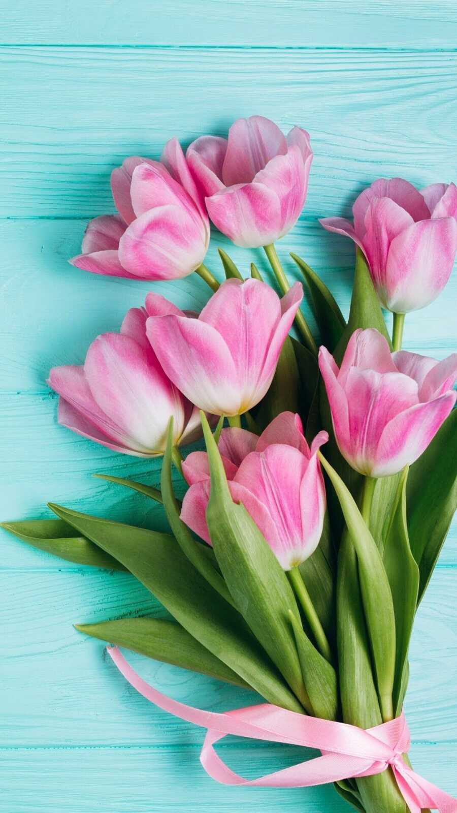 Tulip Wallpapers (39 images) - WallpaperCat