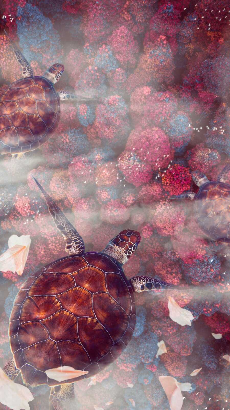 Sea Turtle Wallpapers (60 images) - WallpaperCat