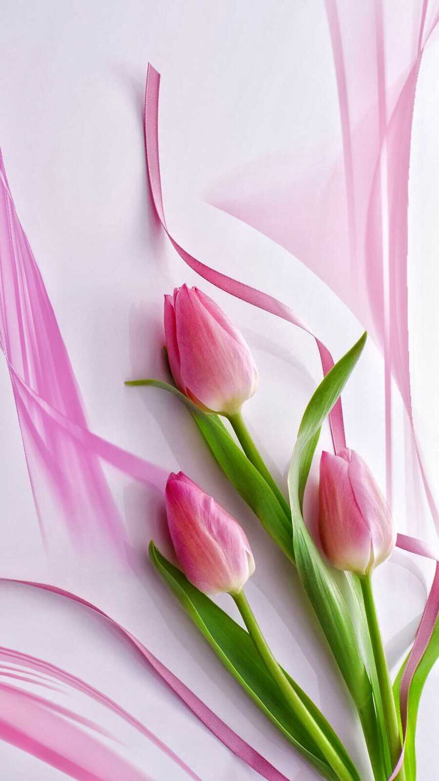Tulip Wallpapers (39 images) - WallpaperCat