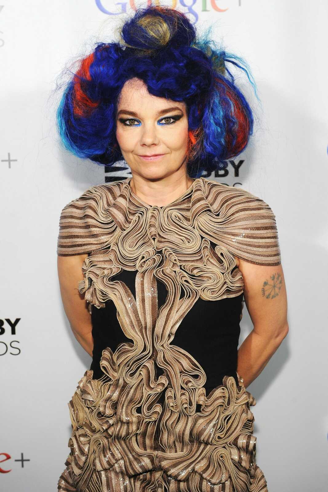 Bjork Wallpapers (27 images) - WallpaperCat