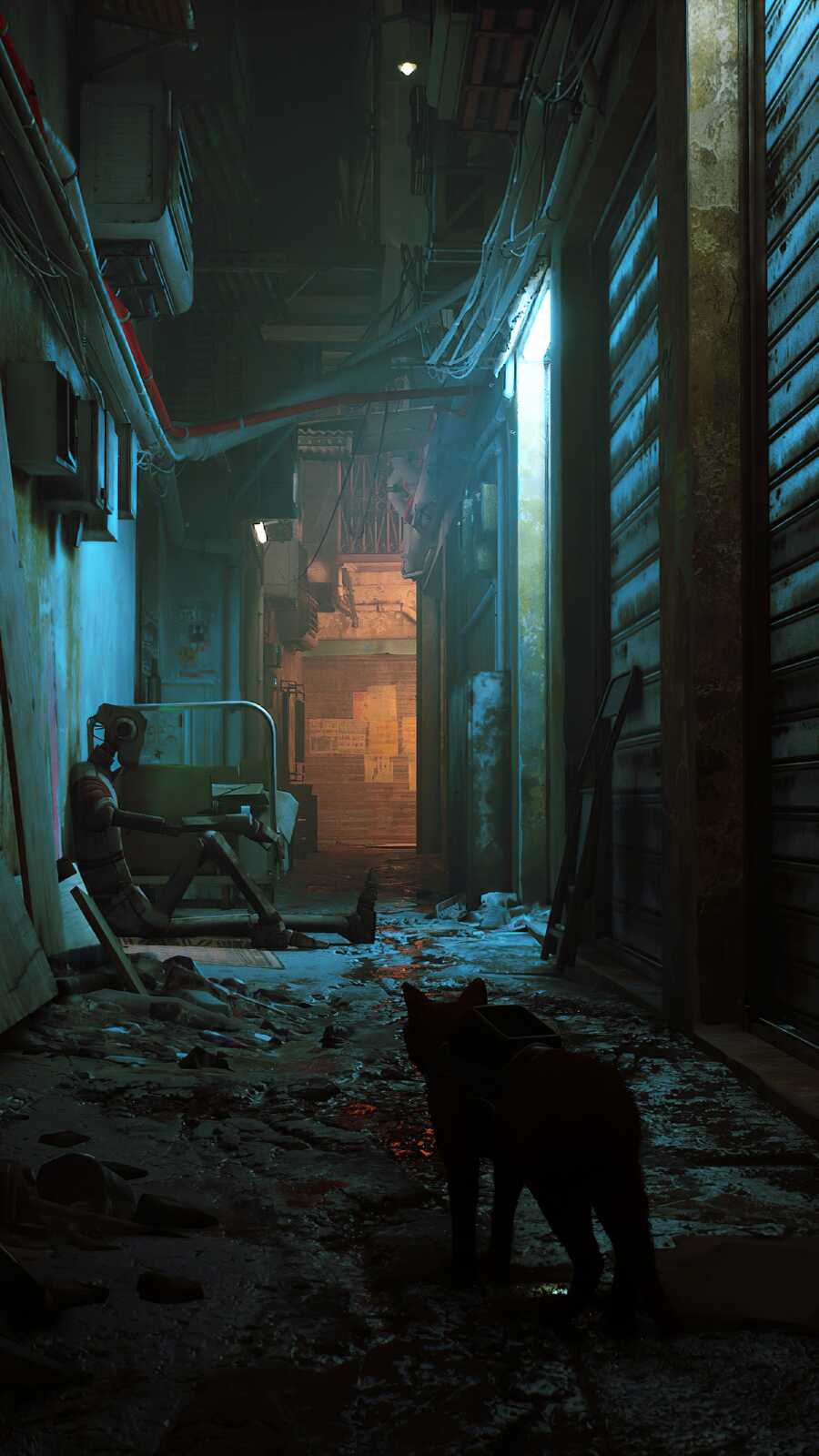 Stray (Game) Wallpapers (29 images) - WallpaperCat