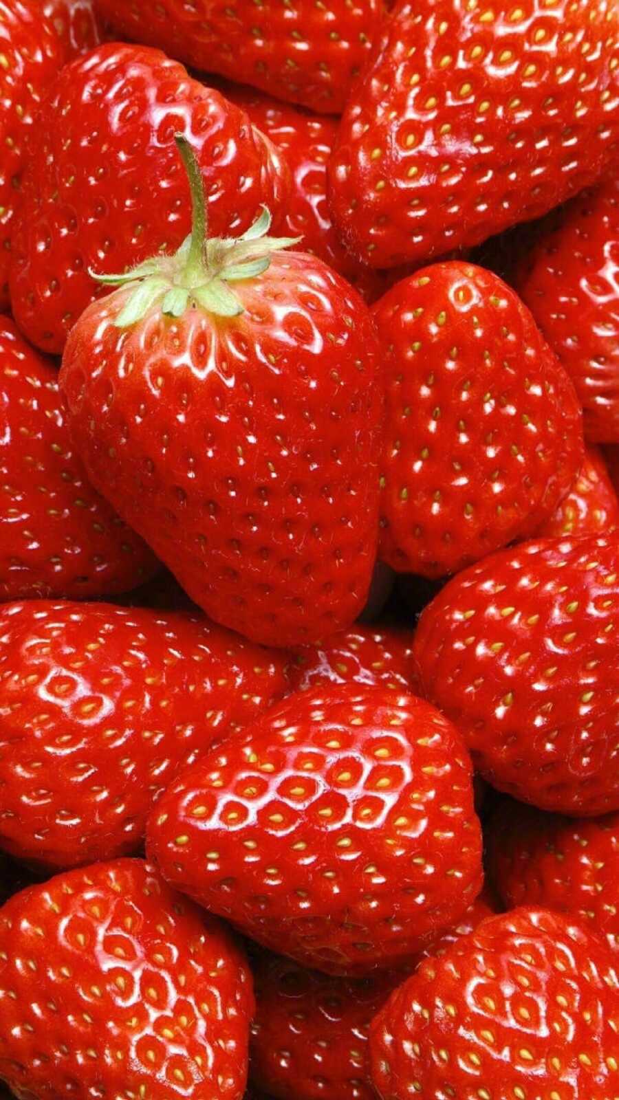 Fruit Wallpapers (73 images) - WallpaperCat