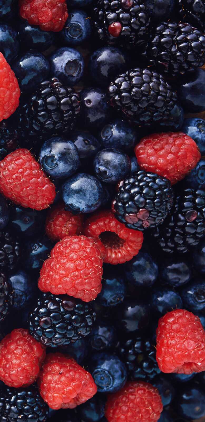 Blackberry Wallpapers (39 images) - WallpaperCat
