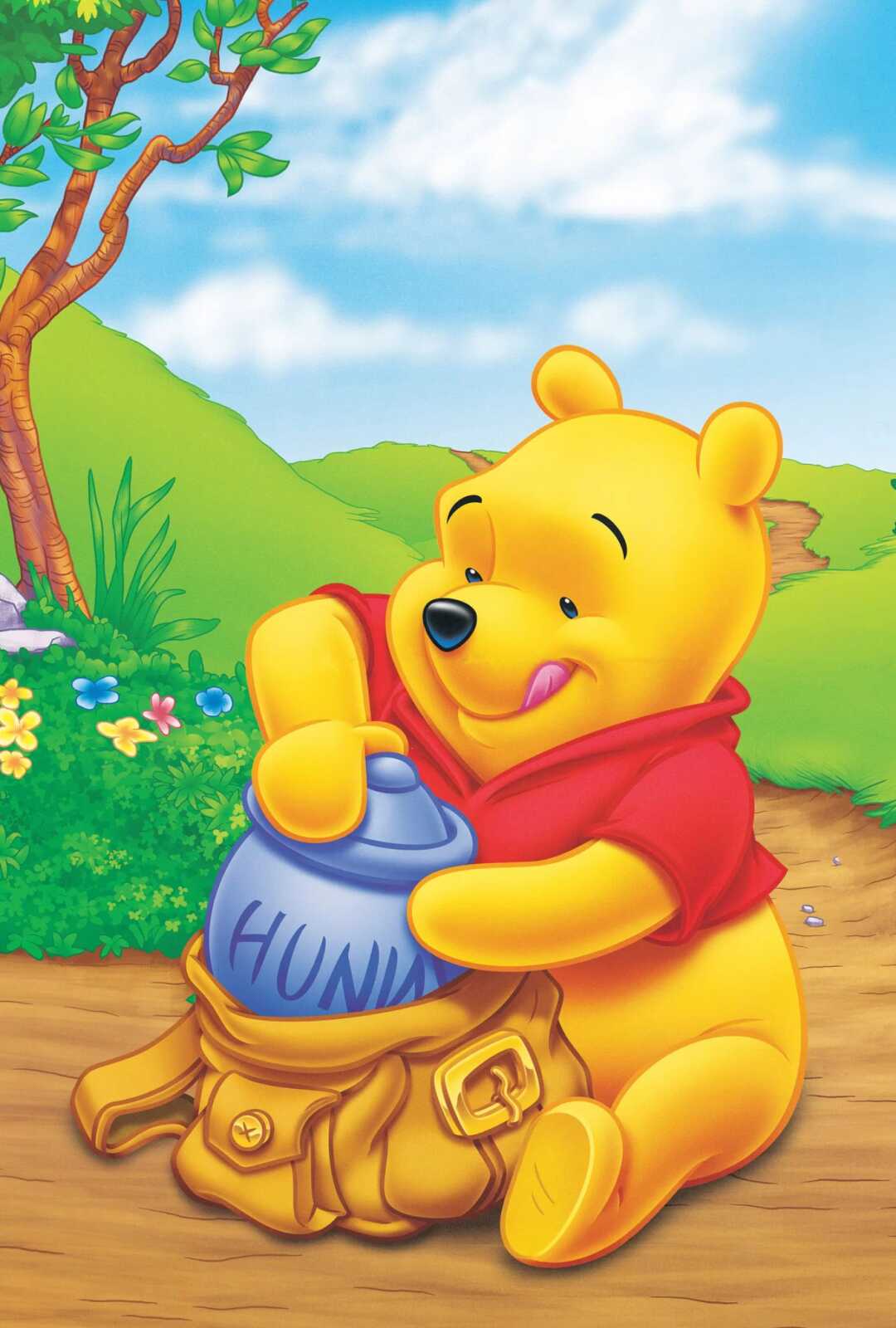 Winnie the Pooh Wallpapers (51 images) - WallpaperCat
