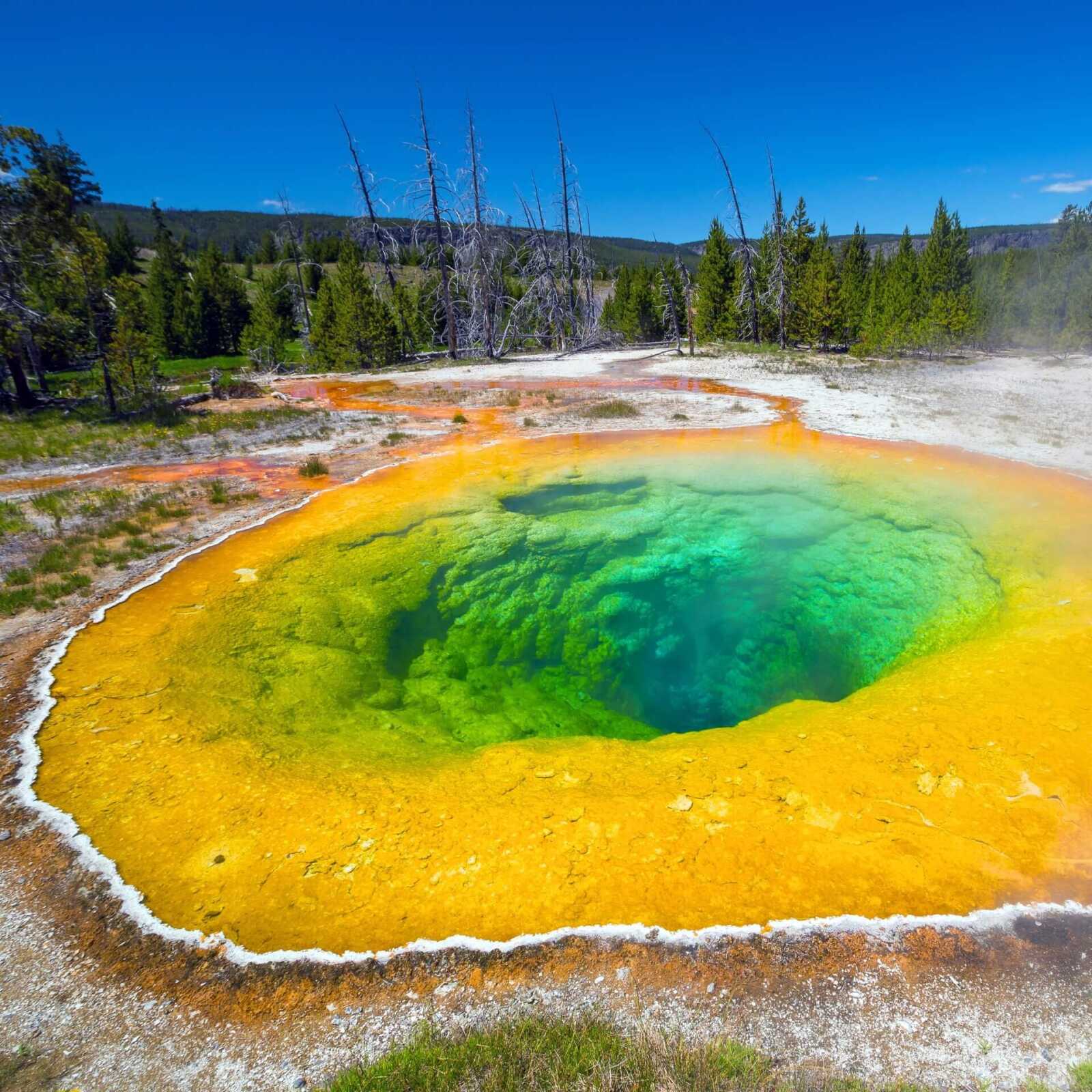 Yellowstone National Park Wallpapers (61 images) - WallpaperCat