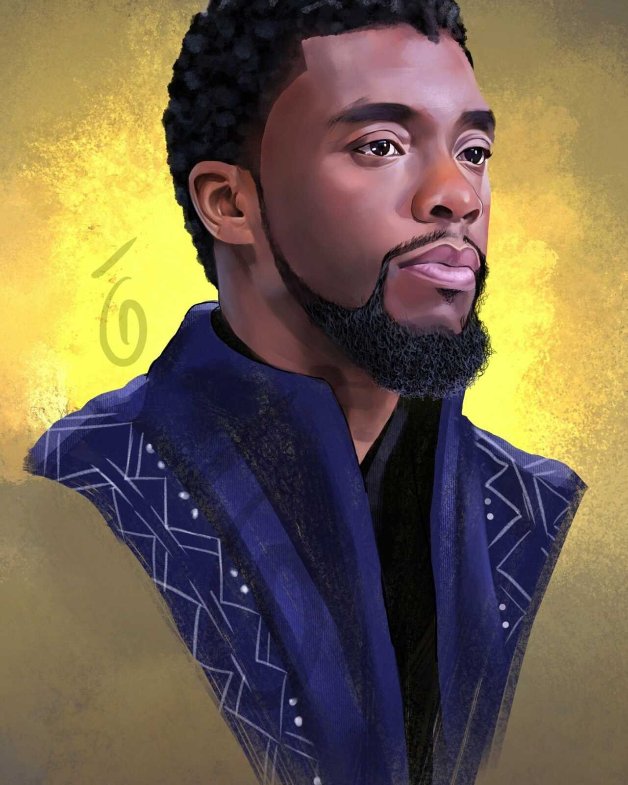 T'Challa Wallpapers (34 images) - WallpaperCat