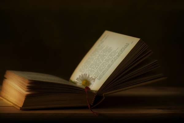 Math Wallpapers (27 images) - WallpaperCat