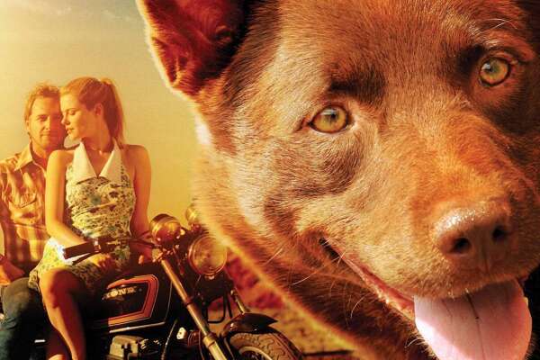 Resident Evil (Movie) Wallpapers (24 images) - WallpaperCat