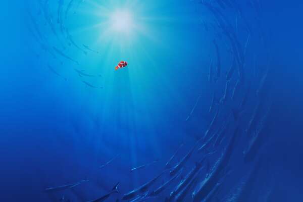 Phineas and Ferb Wallpapers (52 images) - WallpaperCat