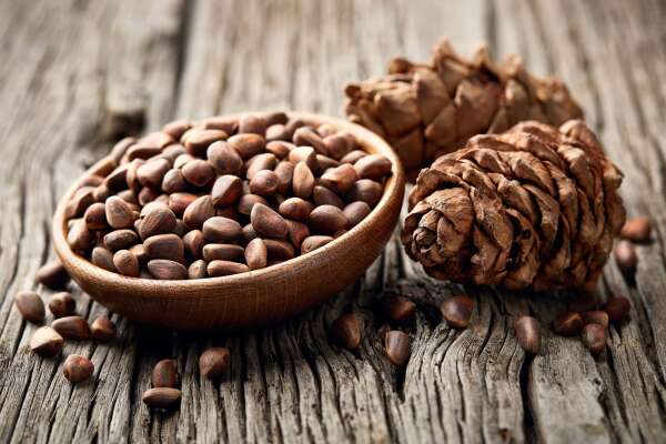 Reishi Mushrooms Wallpapers (28 images) - WallpaperCat