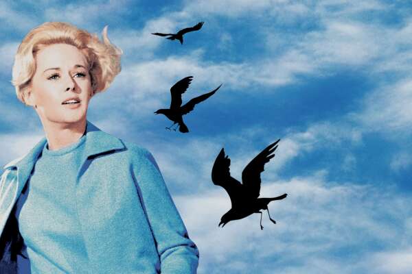 Film Director Wallpapers (12 images) - WallpaperCat