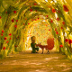 The Little Prince Wallpapers (24 images) - WallpaperCat