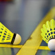 Badminton Wallpapers (32 images) - WallpaperCat