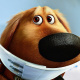 Up (Cartoon) Wallpapers (27 images) - WallpaperCat