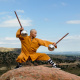 Shaolin Kung Fu Wallpapers (21 images) - WallpaperCat