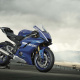 Yamaha YZF-R6 Wallpapers (44 images) - WallpaperCat