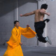 Shaolin Kung Fu Wallpapers (21 images) - WallpaperCat