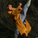 Shaolin Kung Fu Wallpapers (21 images) - WallpaperCat