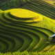 Farm Wallpapers (97 images) - WallpaperCat