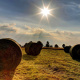 Sun Wallpapers (119 images) - WallpaperCat