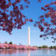 Washington DC Skyline Wallpapers (21 images) - WallpaperCat
