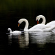 Family Wallpapers (44 images) - WallpaperCat
