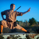 Shaolin Kung Fu Wallpapers (21 images) - WallpaperCat